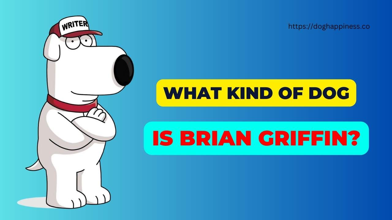 Unveiling the Enigma: What Kind of Dog is Brian Griffin? - Doghappiness